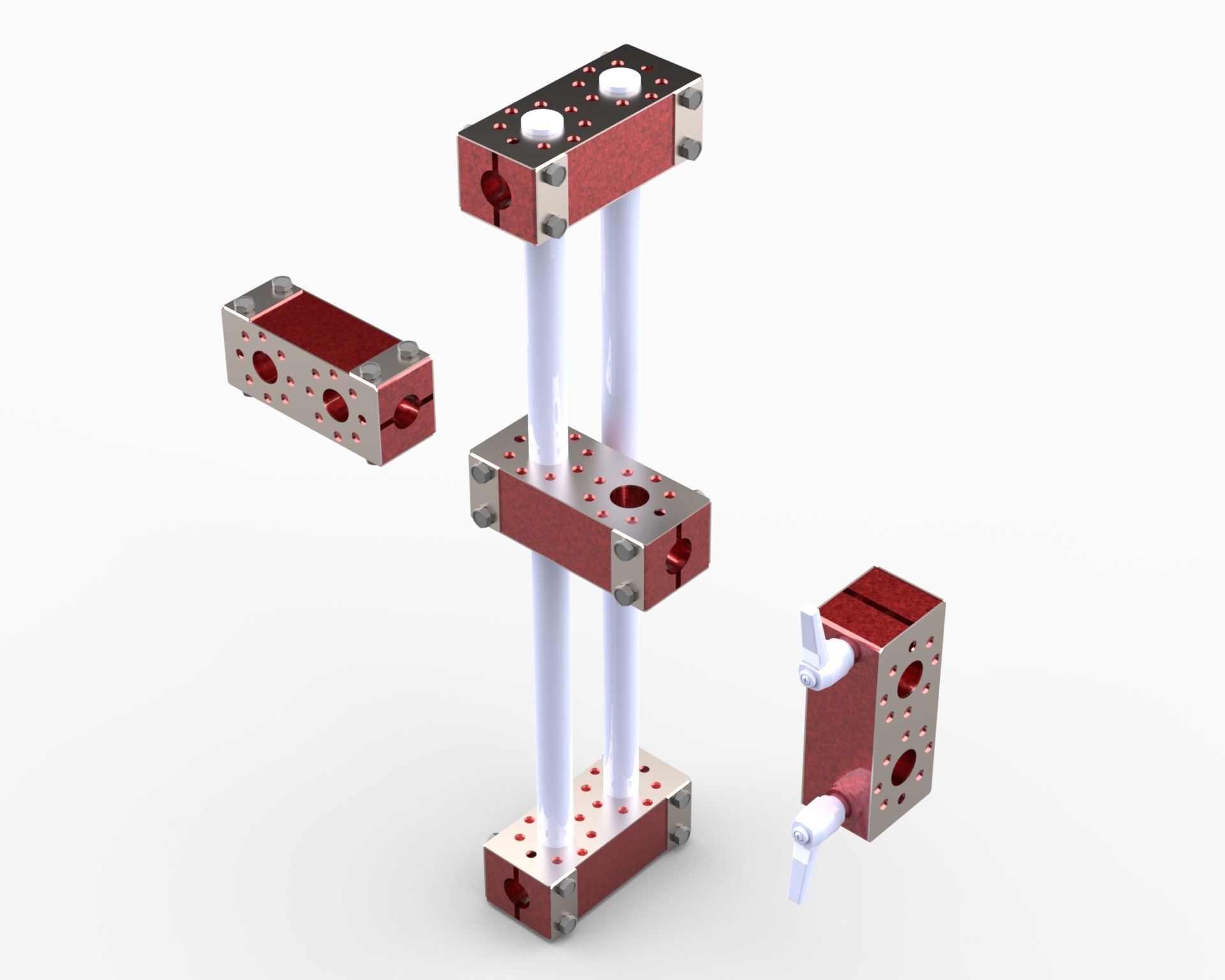 Newsletter - Q1 - 2025 - Global - OSR - Forum